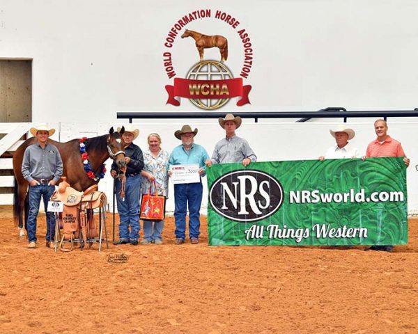 Versatility Stakes Classes – World Conformation Horse Association