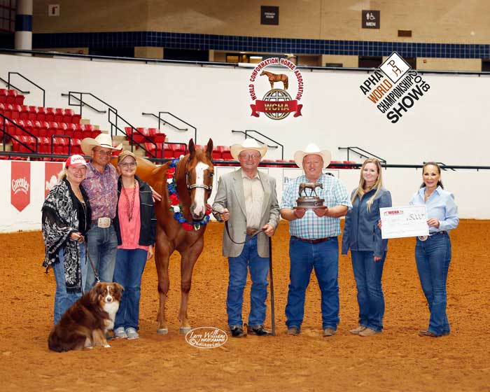 Versatility Stakes Classes – World Conformation Horse Association