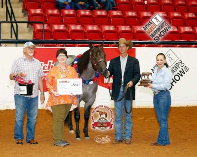 Versatility Stakes Classes – World Conformation Horse Association