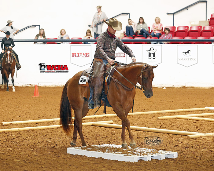 Versatility Stakes Classes – World Conformation Horse Association