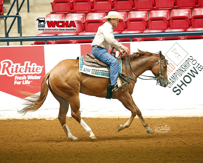 Versatility Stakes Classes – World Conformation Horse Association