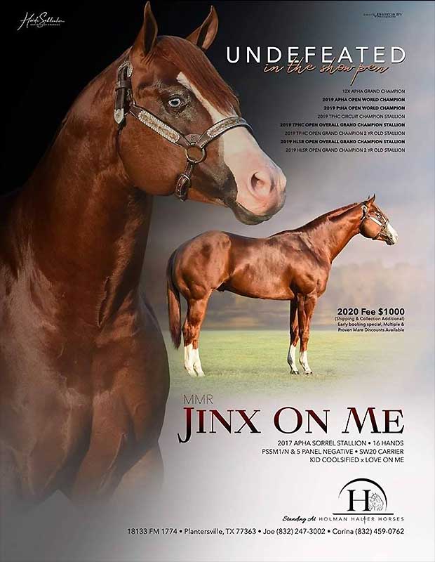 MMR JINX ON ME – World Conformation Horse Association