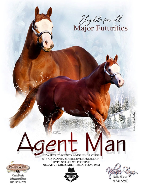 AGENT MAN – World Conformation Horse Association