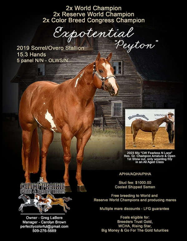 EXPOTENTIAL * – World Conformation Horse Association