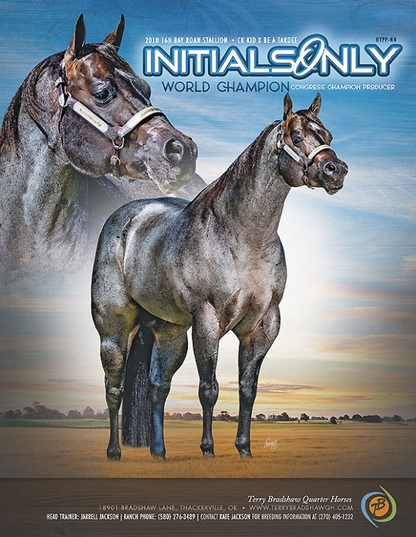 2024 Nominated Stallions – World Conformation Horse Association
