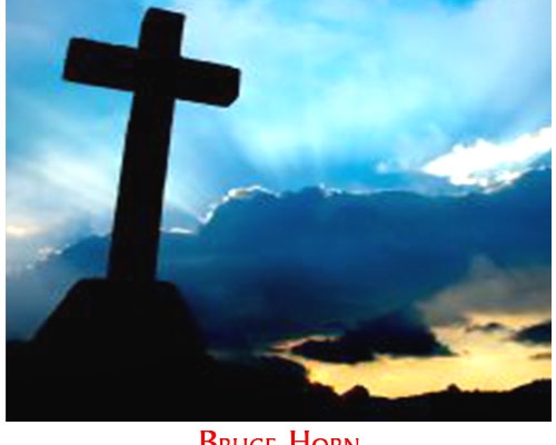 In Our Hearts – World Conformation Horse Association