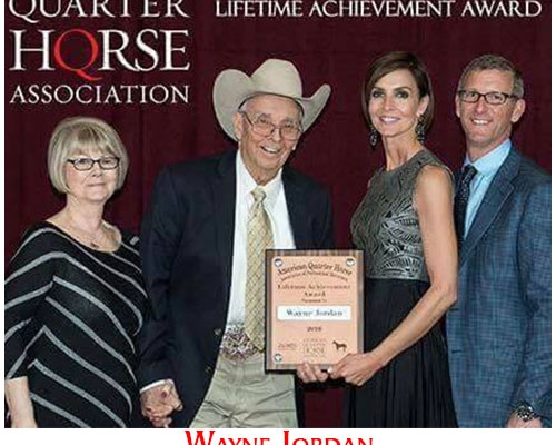 In Our Hearts – World Conformation Horse Association