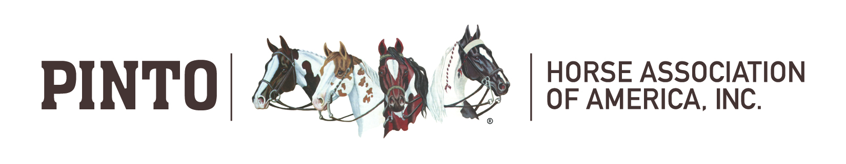 Affiliates – World Conformation Horse Association