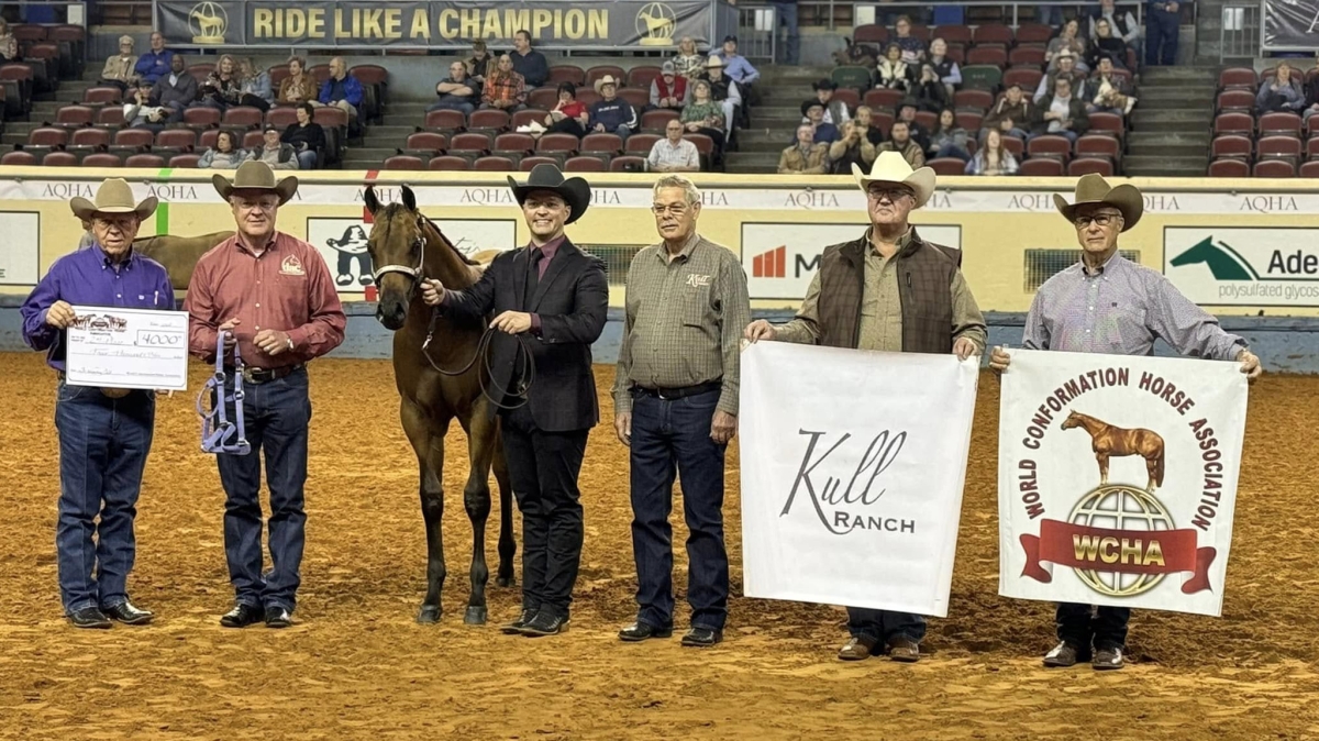 WS Junior Classes – World Conformation Horse Association