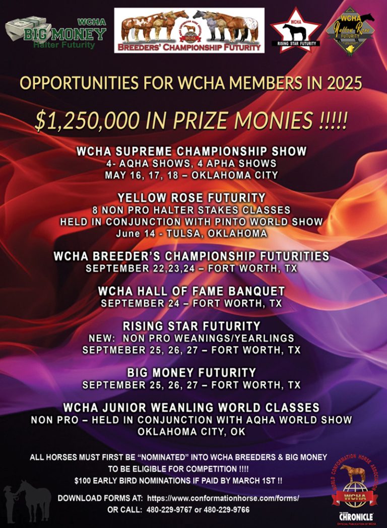 World Conformation Horse Association – World Conformation Horse Association
